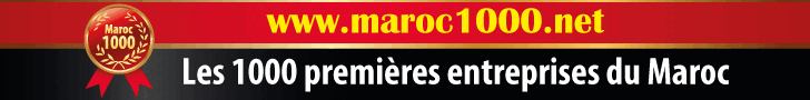 Cegelec | Kerix, l'annuaire des professionnels du Maroc